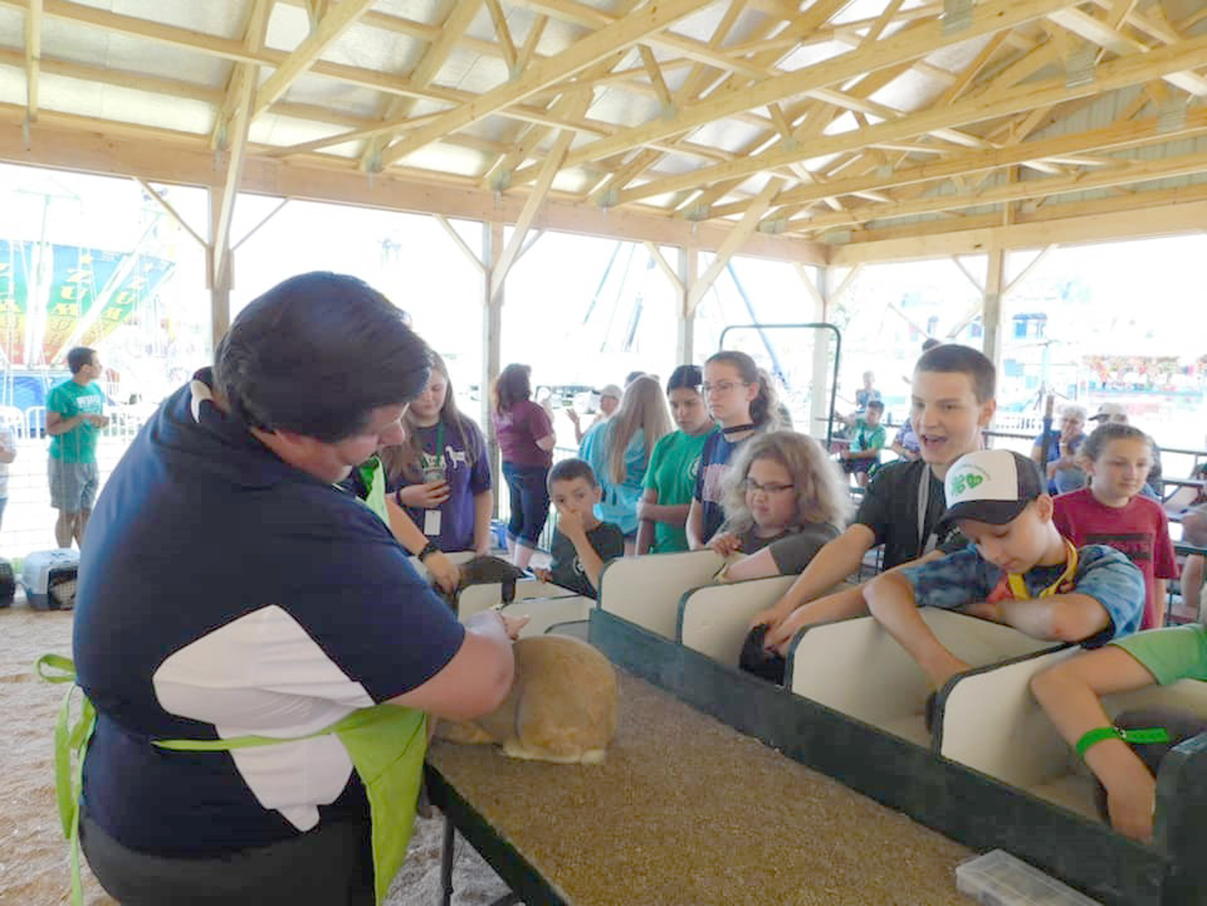 4-H members exhibit rabbits at fair | News, Sports, Jobs - Observer Today